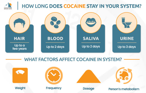 How Long Does Cocaine Stay in Your System? | Harmony Ridge Recovery ...